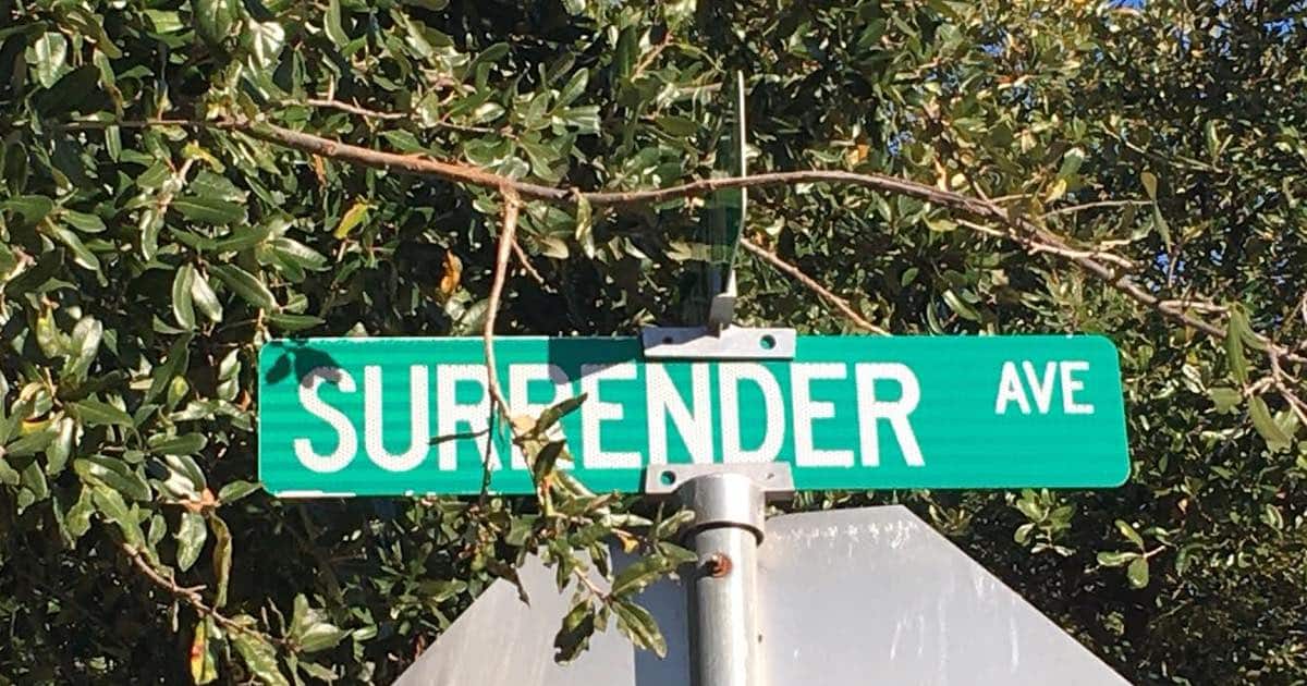 What I learned on Surrender Avenue by Jacob Nordby